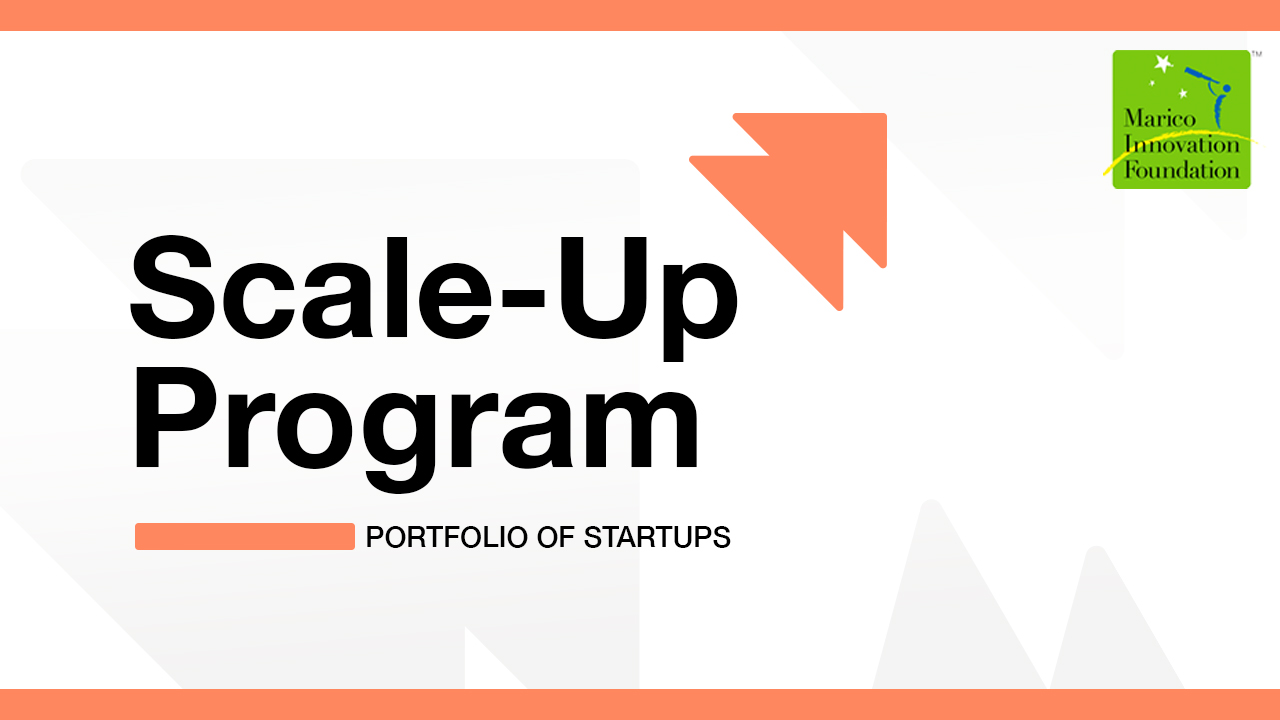 Scale-Up Portfolio | Startup Growth Stories Powered by MIF